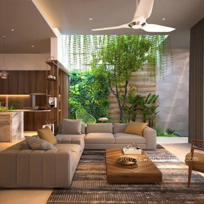 5 cây trang trí phòng khách đẹp, hợp phong thủy hút tài lộc